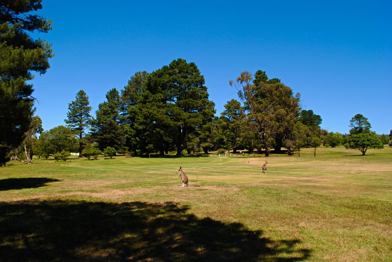 Course - Lithgow Golf Club